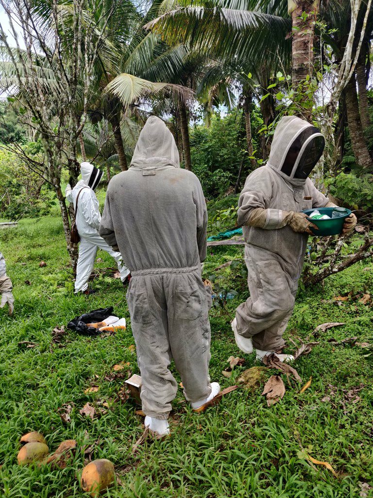 Highly recommended – Varroa Mite Management Training – Fiji ...