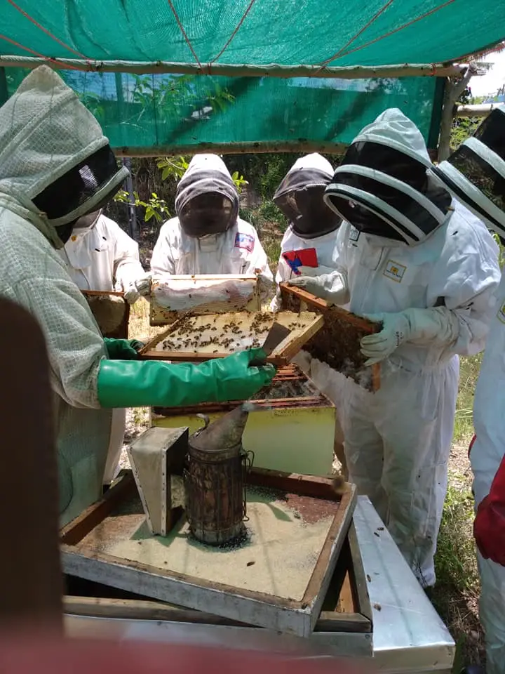 Basic Beekeeping Workshop – 4th March 2021 (Theory & Practical) – Beekeeping in Fiji