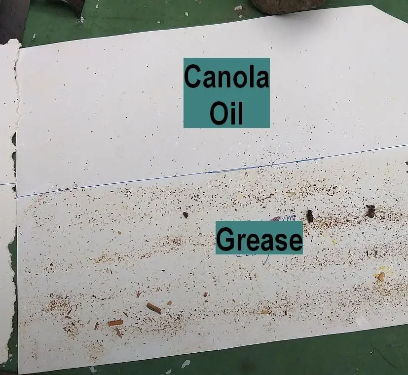 Homemade Sticky Boards – Beekeeping in Fiji