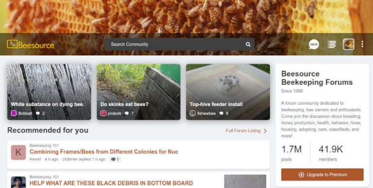 Beesource Beekeeping Forums – Beekeeping in Fiji