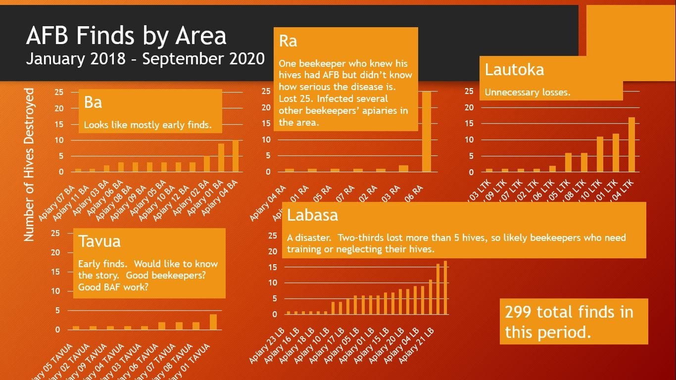How To Avoid Major Losses From American Foulbrood Disease AFB ...