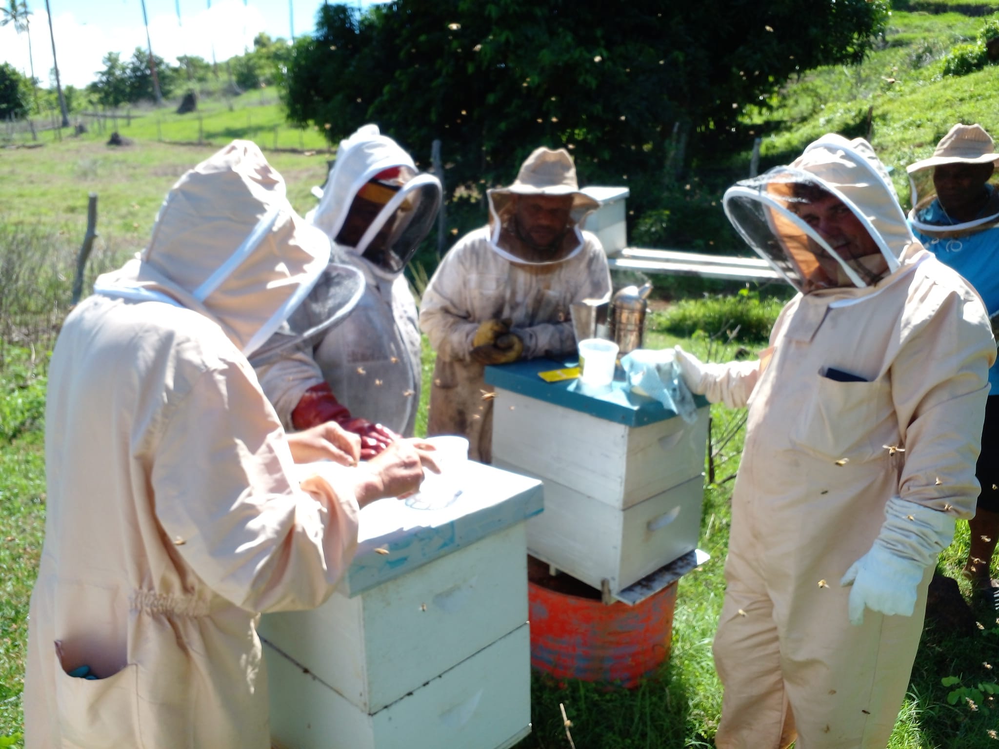 Practical Beekeeping Open Day @ Cegu Valley Farm – 15 January 2025 – Beekeeping in Fiji