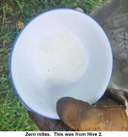 The Effectiveness of Reusing Apistan Strips for Varroa Mite Control ...