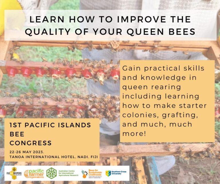 Learn how to improve the quality of your queen bees! – Beekeeping in Fiji