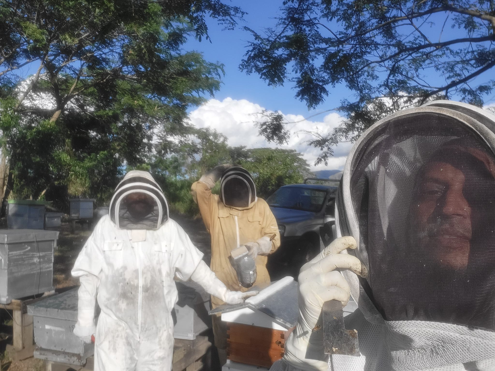Beekeeping Training – Introduction to basic beekeeping – Vuda Point ...