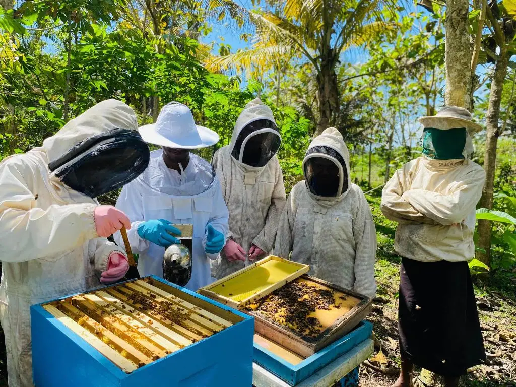 Successful two days of BeeKeeping Level 1 Training at Cegu Valley Farm ...