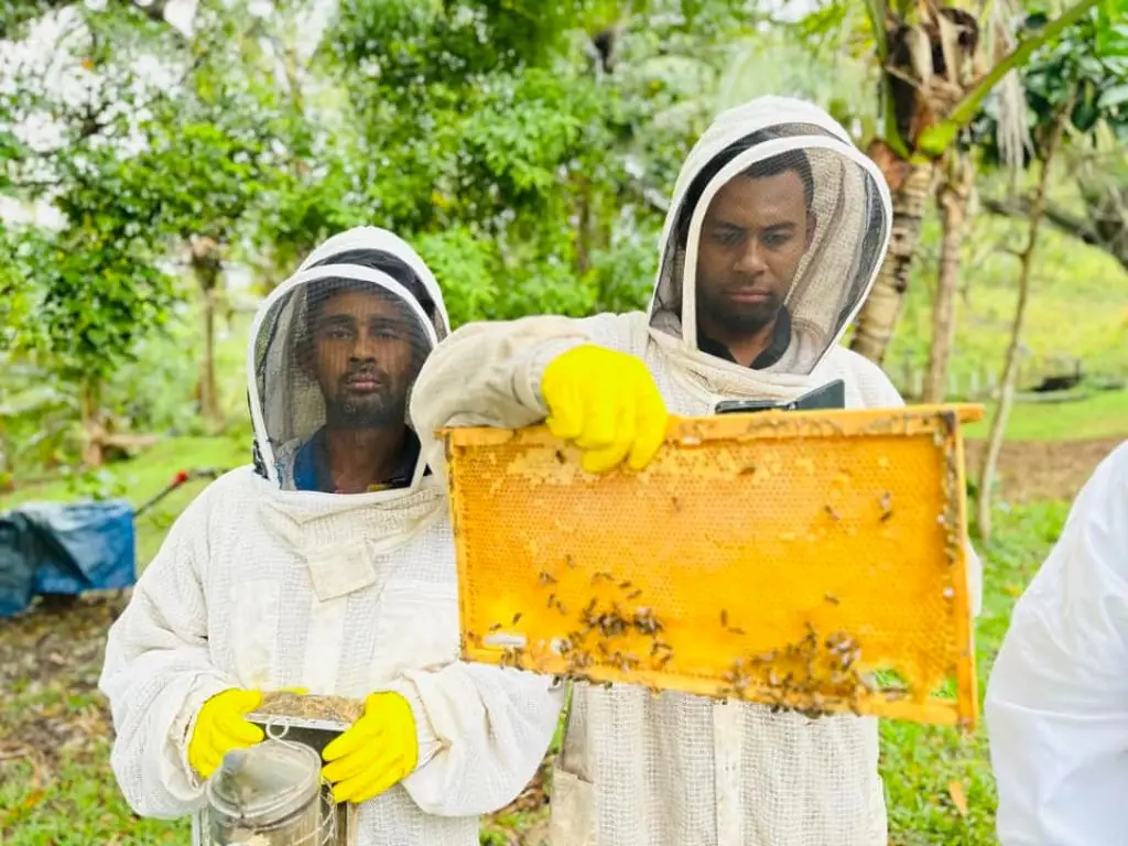 Introduction to Beekeeping training successfully done at Cegu Valley ...