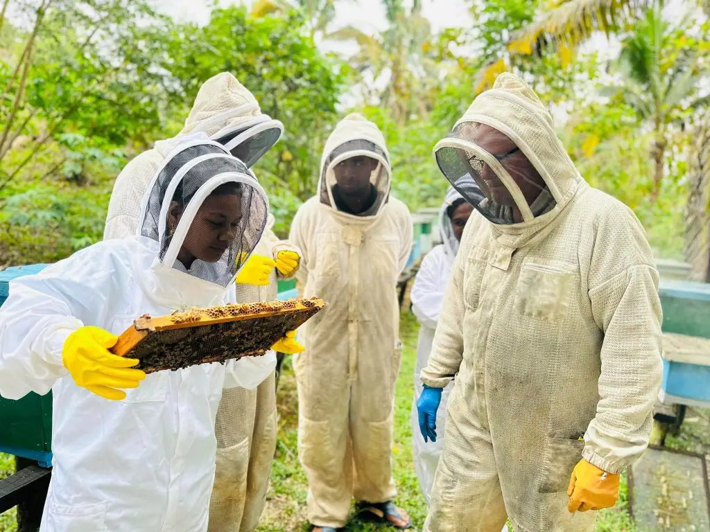 Introduction to Beekeeping training successfully done at Cegu Valley ...