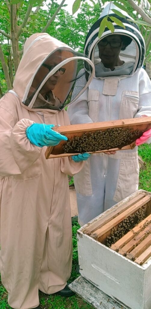 Mentoring program through FIJI BEEKEEPERS ASSOCIATION in empowering ...