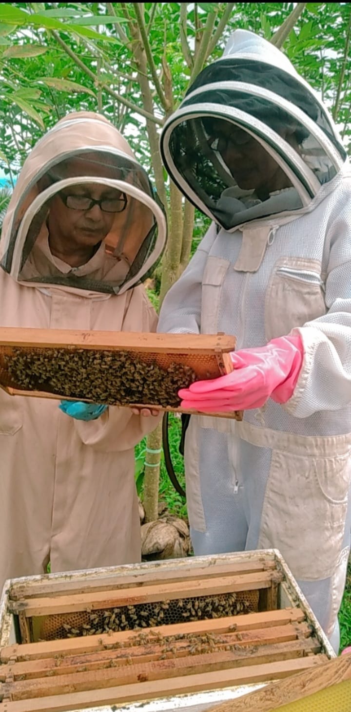 Mentoring program through FIJI BEEKEEPERS ASSOCIATION in empowering ...