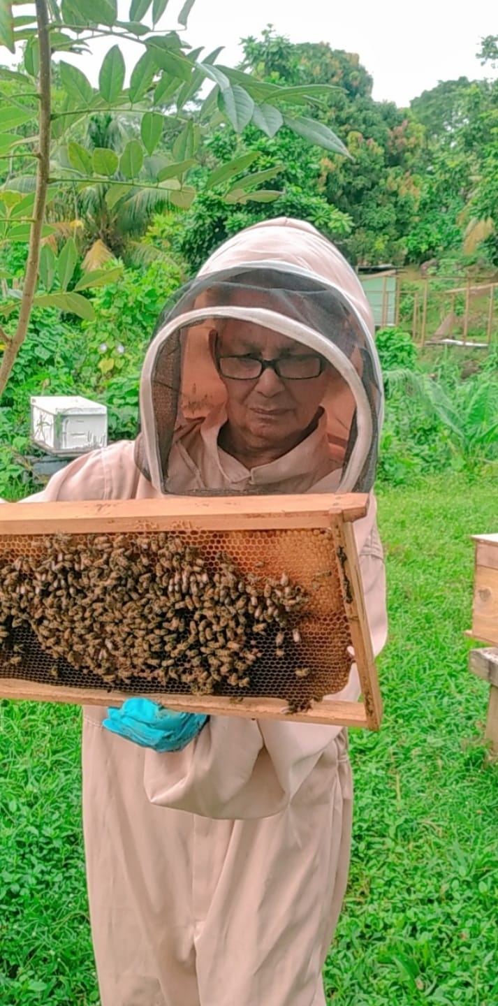Mentoring program through FIJI BEEKEEPERS ASSOCIATION in empowering ...
