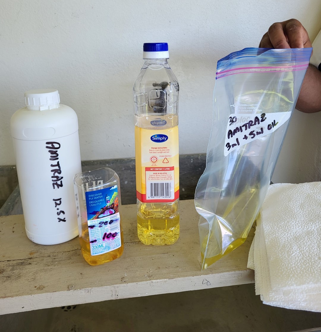 How I Use Amitraz For Control Of Varroa In Fiji – Beekeeping in Fiji