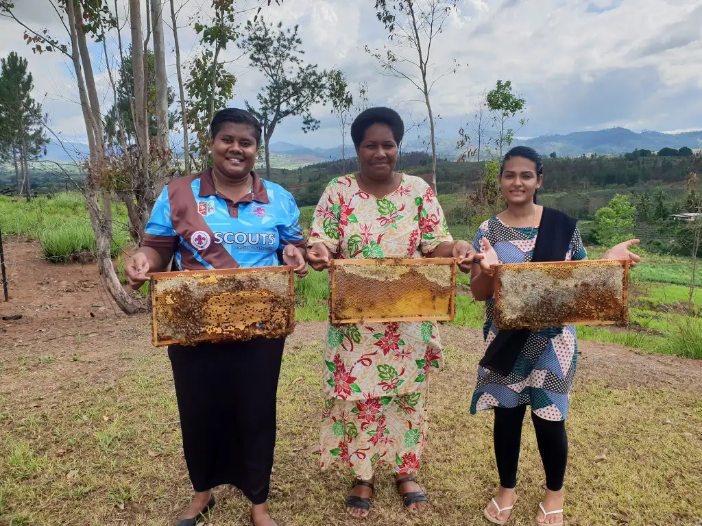 Talaiya Muslim Primary School Bee Keeping Team – Beekeeping in Fiji
