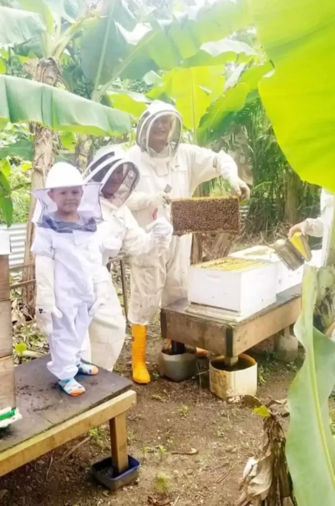 Pacific Islands World Bee Day 2024 Photo Contest Winners – Beekeeping ...