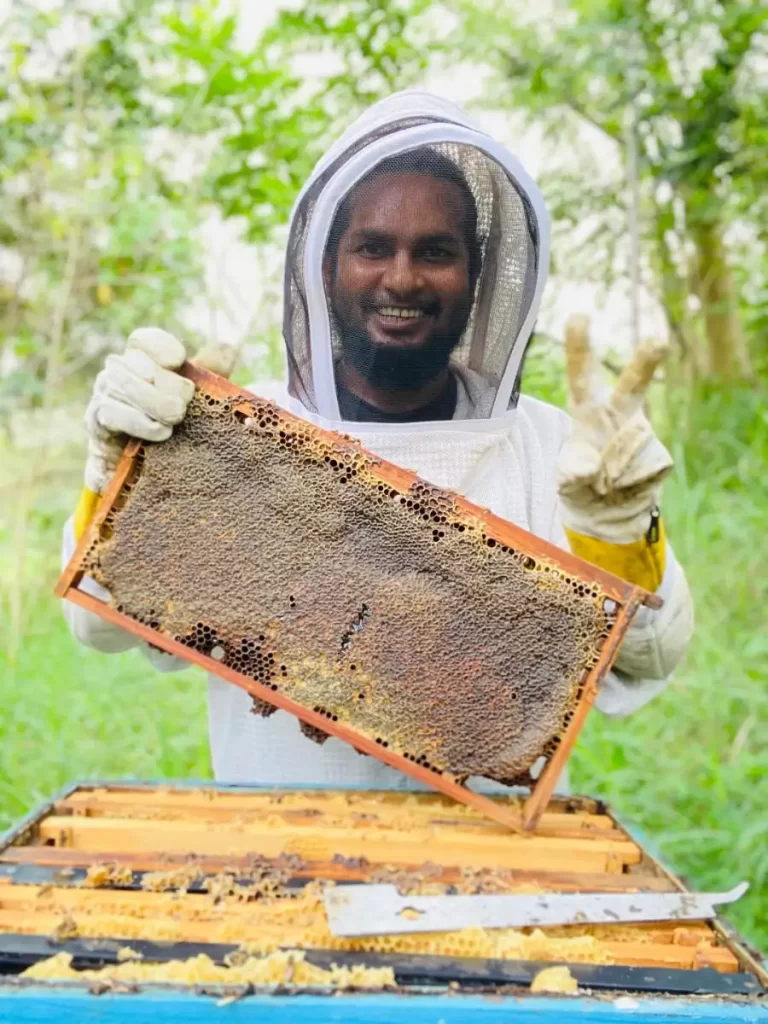 Pacific Islands World Bee Day 2024 Photo Contest Winners – Beekeeping ...