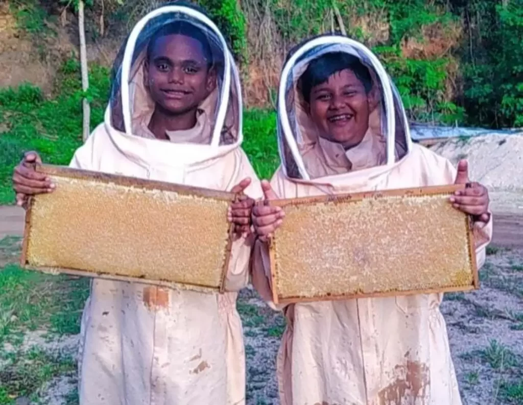 Pacific Islands World Bee Day 2024 Photo Contest Winners – Beekeeping ...